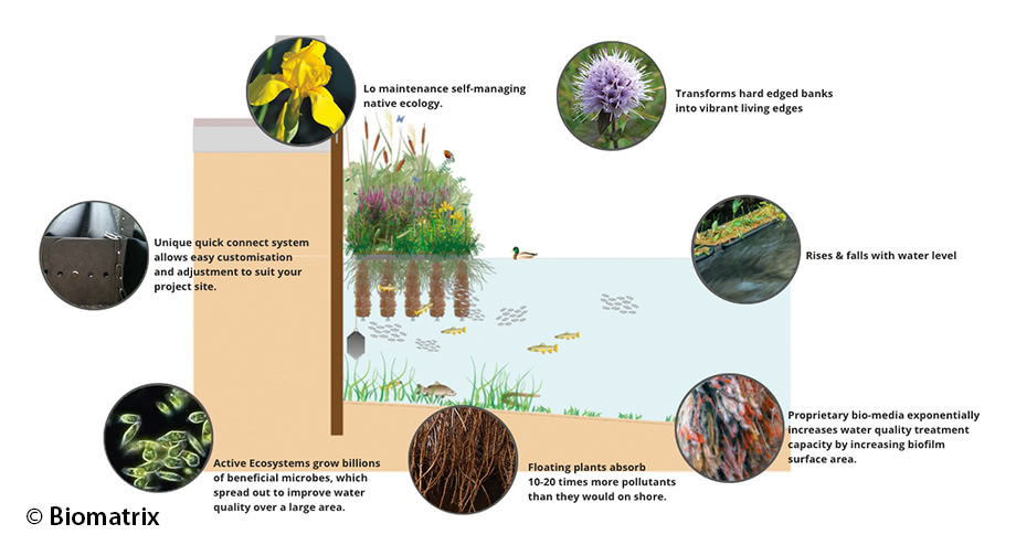 Using Floating Ecosystems to Clean Waterways - Permaculture