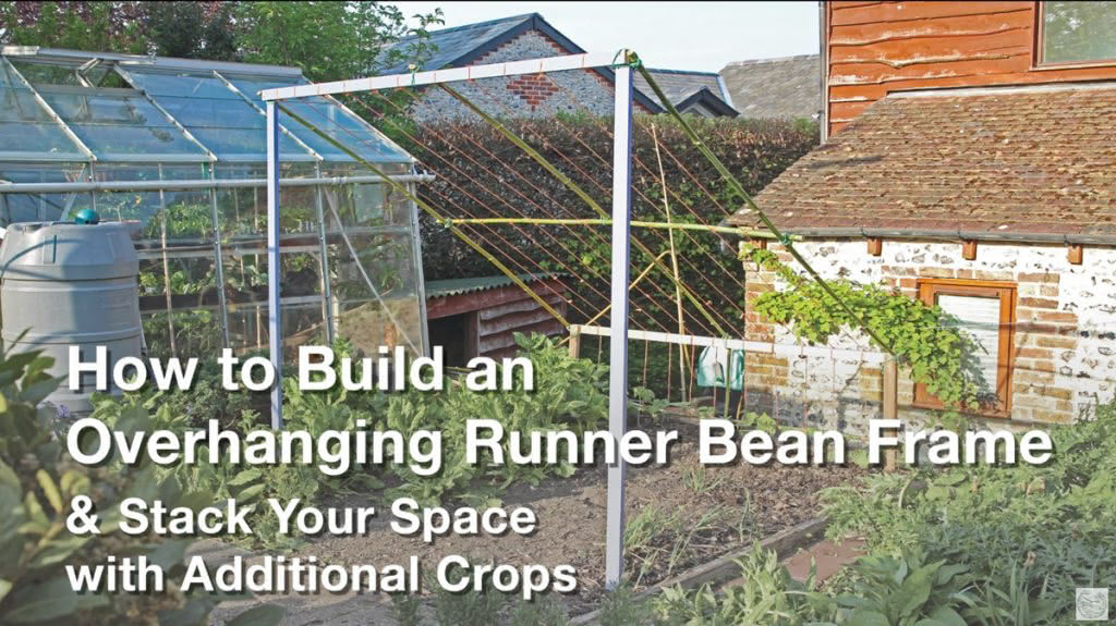 How to Build an Overhanging Runner Bean Frame - Permaculture