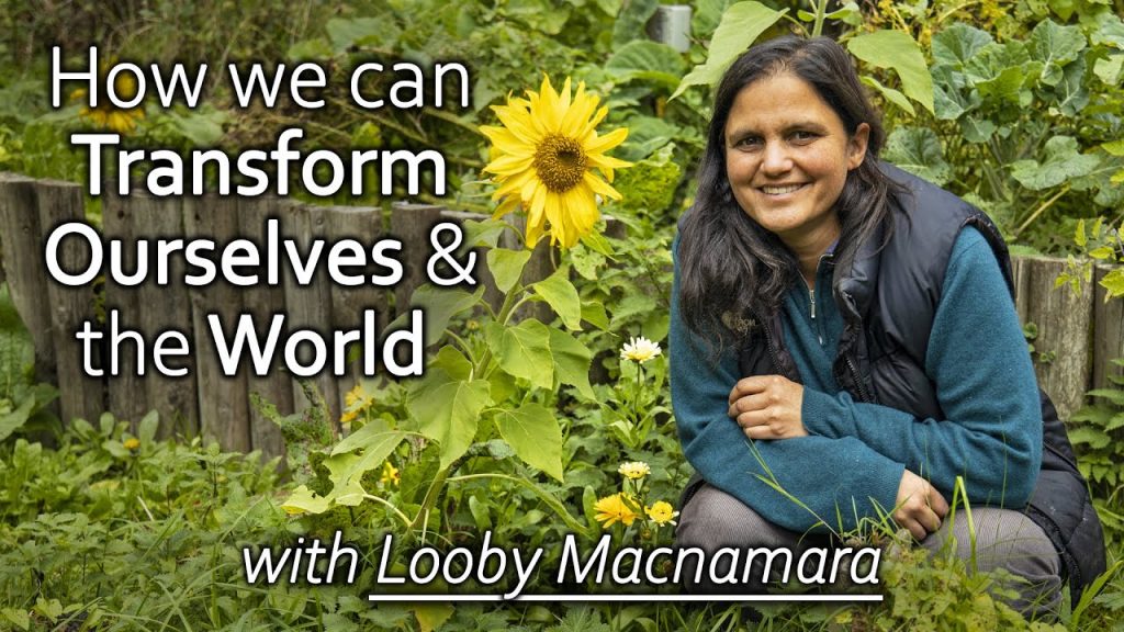 How to Understand & Change Culture | Looby Macnamara on Cultural ...