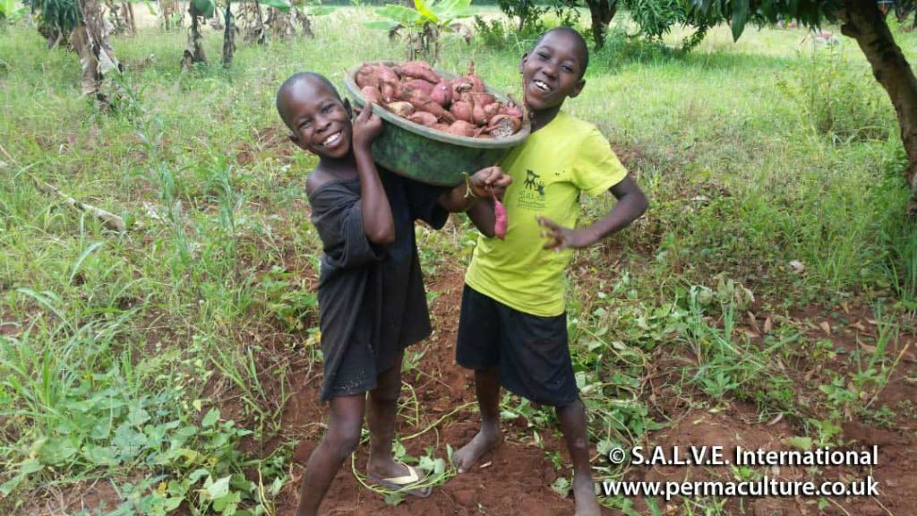 Empowering Families to Support Street Children - Permaculture