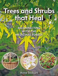 Trees and Shrubs that Heal - Permaculture