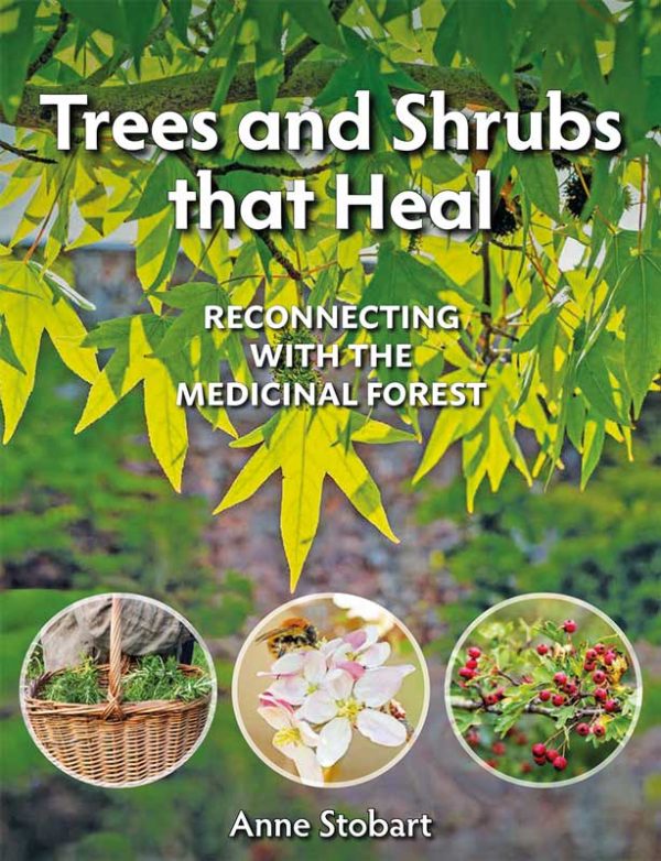 Trees and Shrubs that Heal - Permaculture