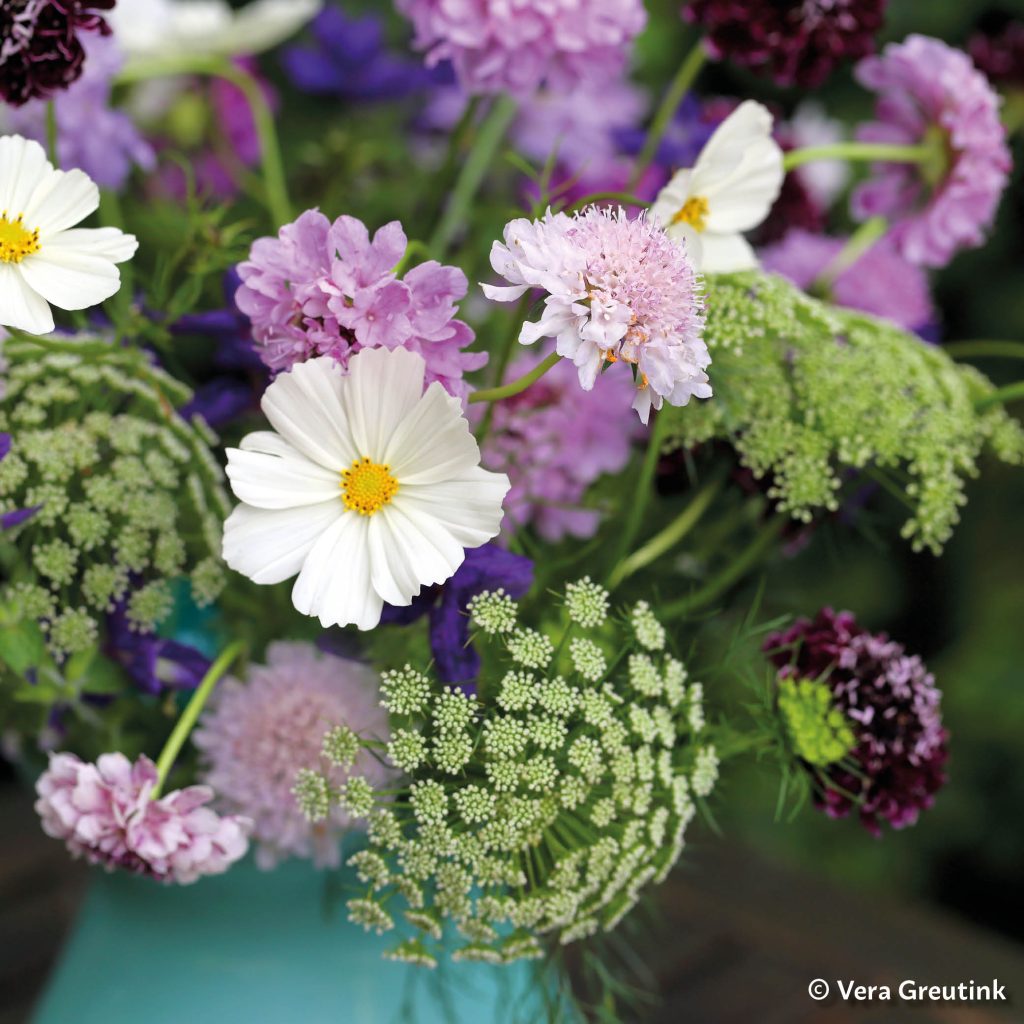 Organic Cut Flowers: Tips for growing your own - Permaculture