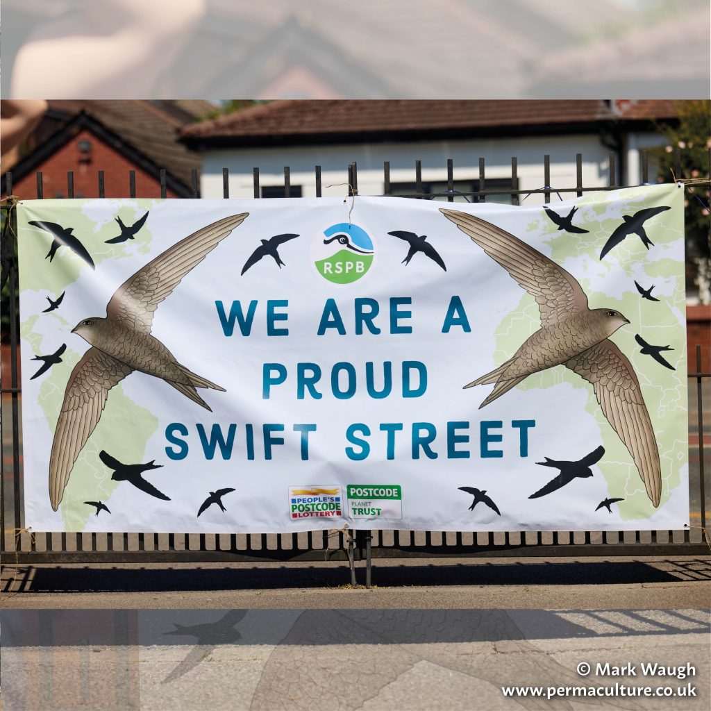 Community Conservation – become a swift street - Permaculture